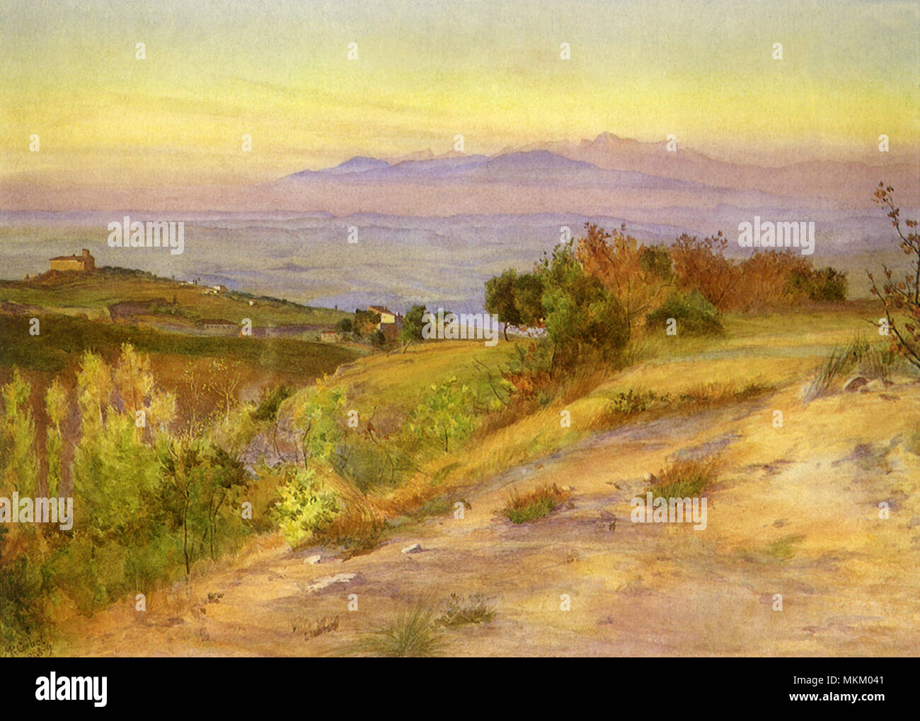 Pisan hi-res stock photography and images - Alamy