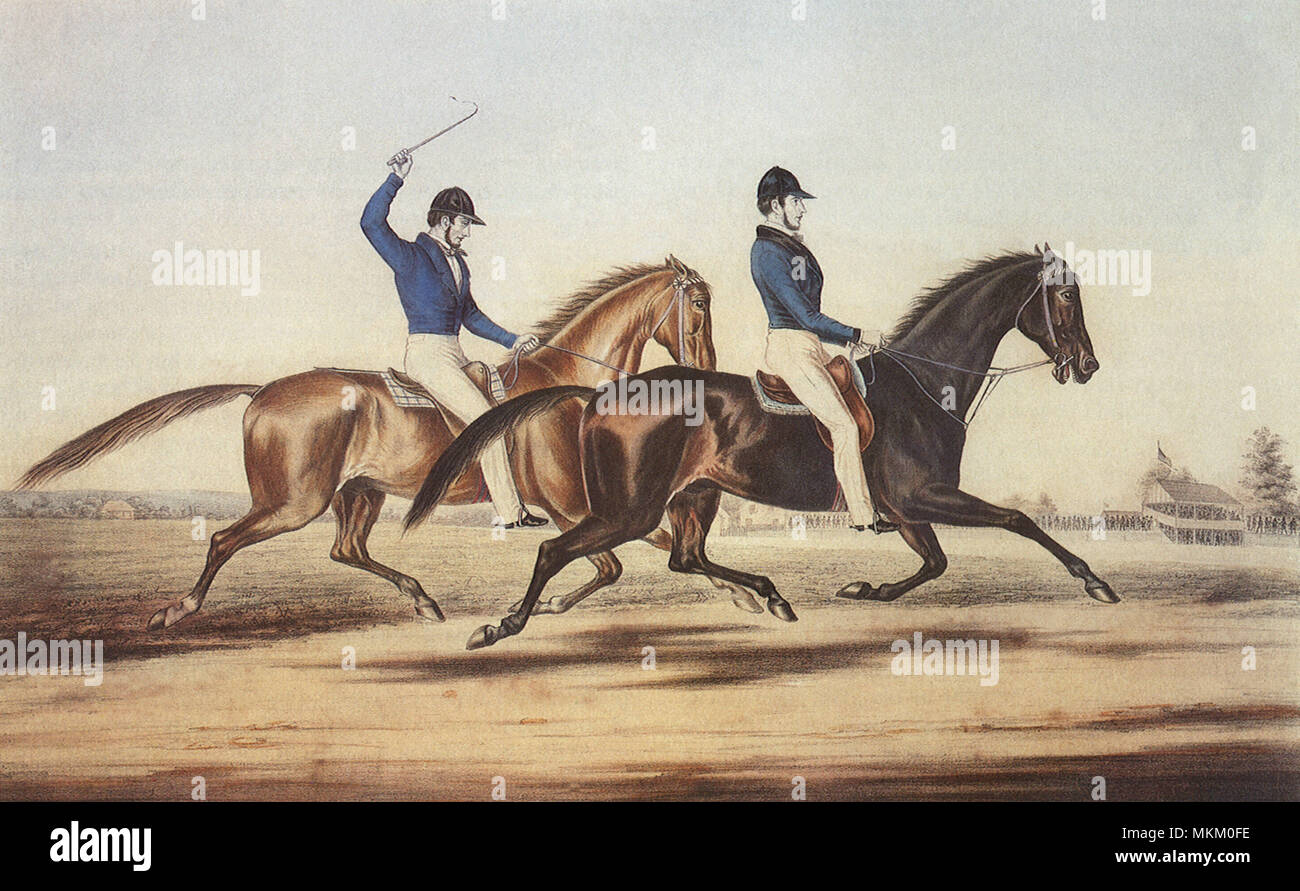 Two Horses and Riders Stock Photo - Alamy