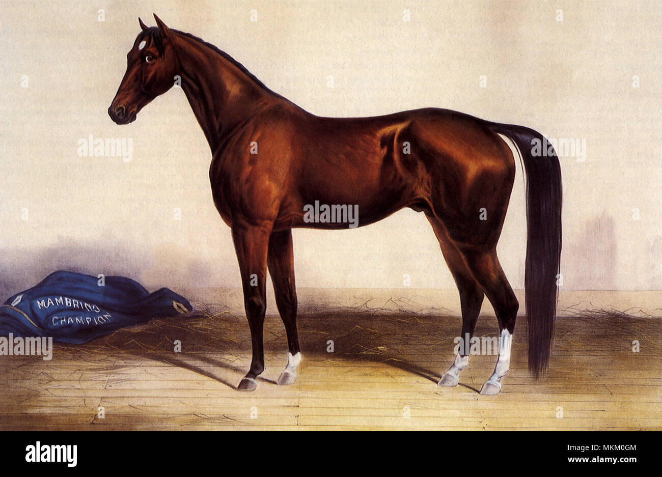 Standing beast hi-res stock photography and images - Alamy