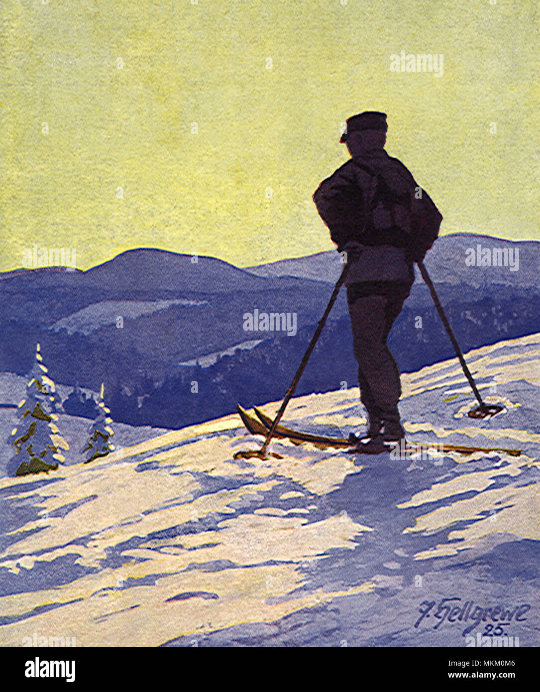 Skier stands hi-res stock photography and images - Alamy