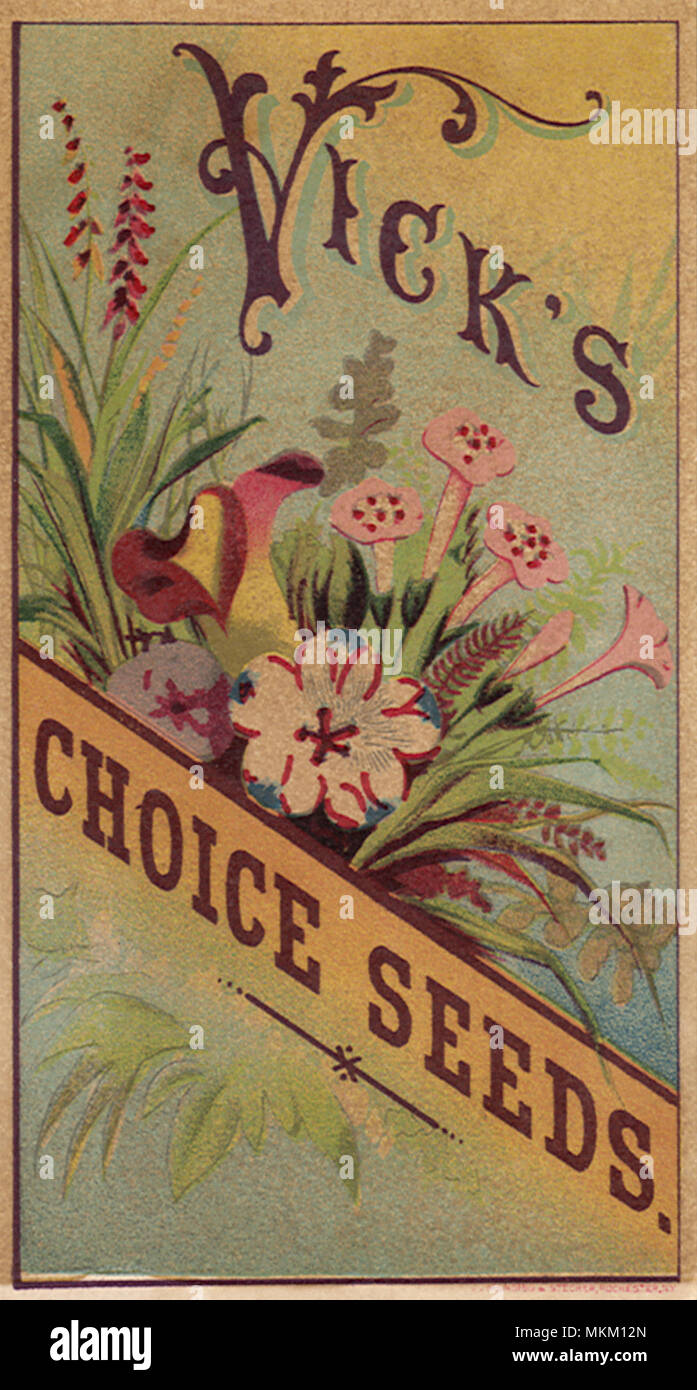 Vick’s Choice Seeds Stock Photo - Alamy