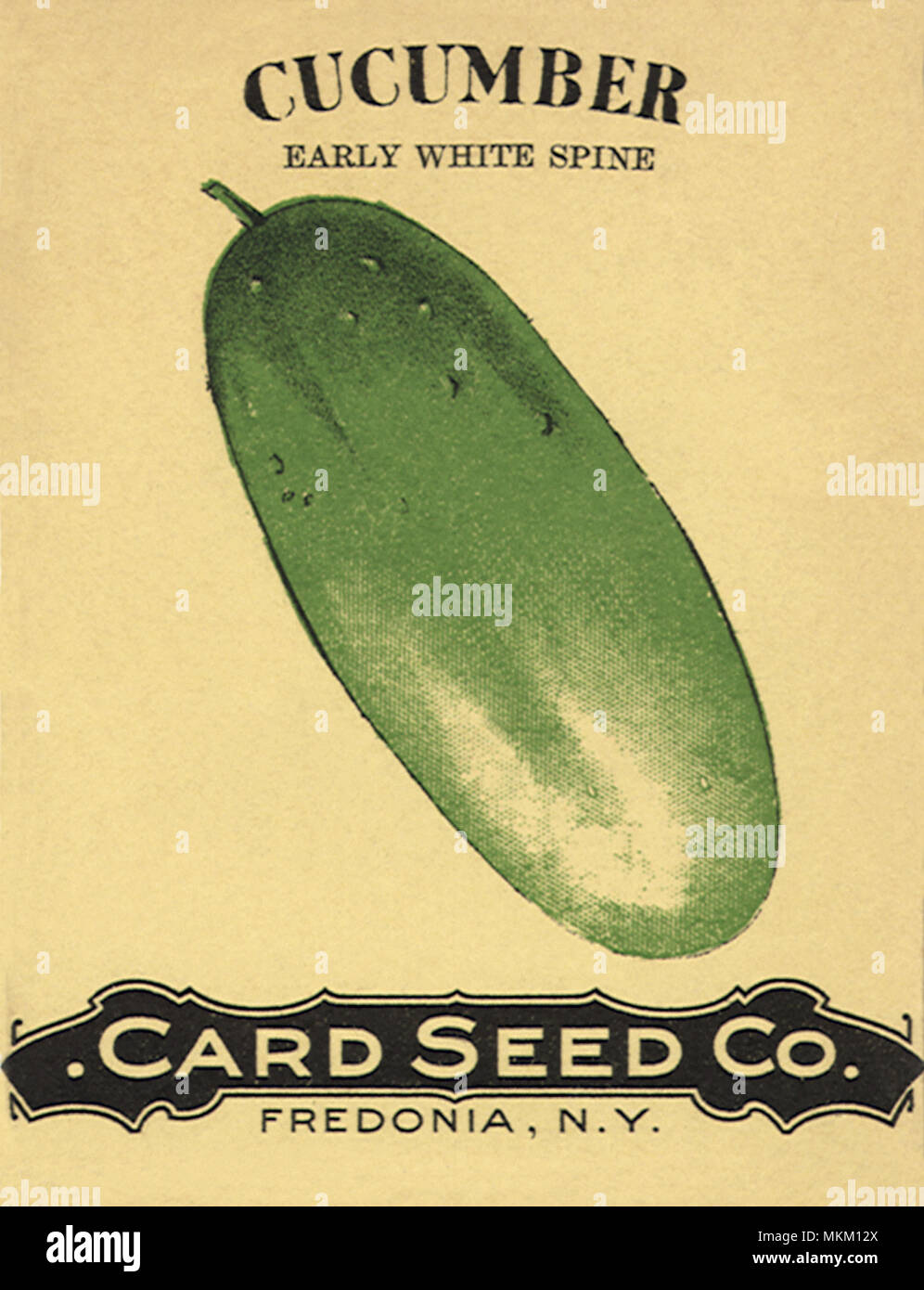 Cucumber Seed Packet Stock Photo - Alamy