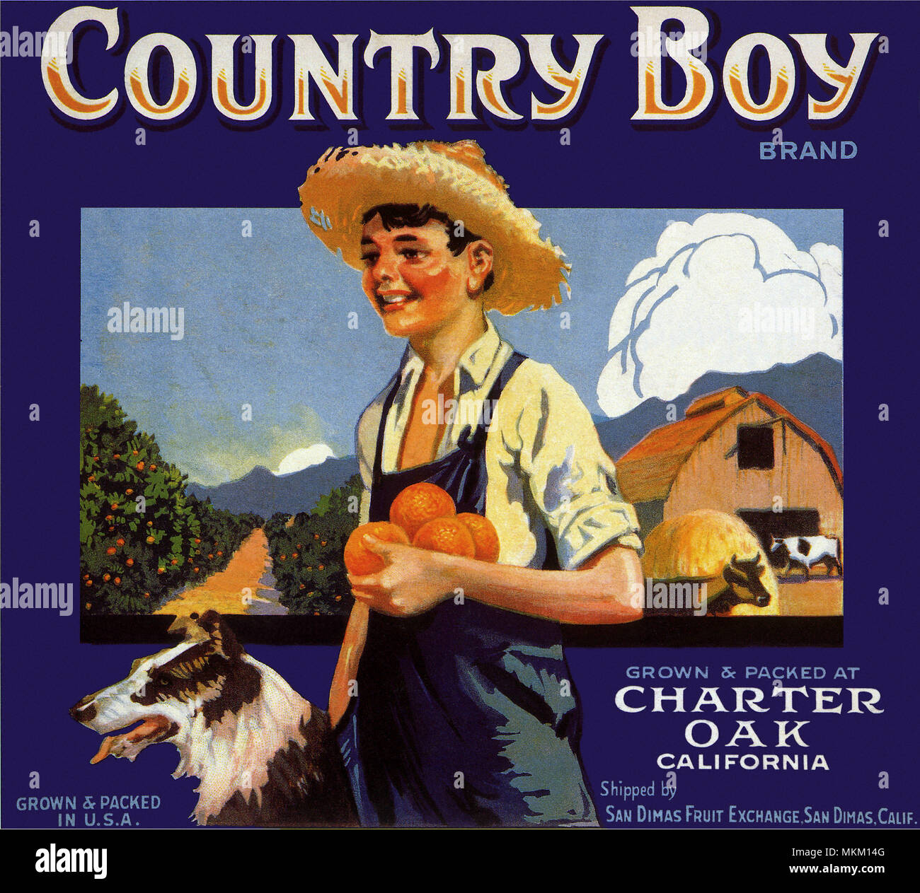 Country Boy with Oranges Stock Photo - Alamy