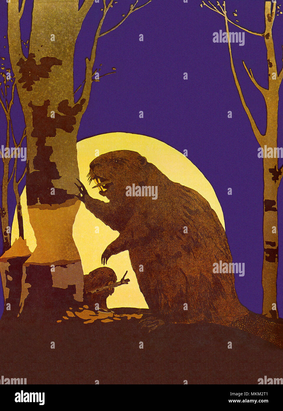 Beavers Gnawing Trees Stock Photo - Alamy