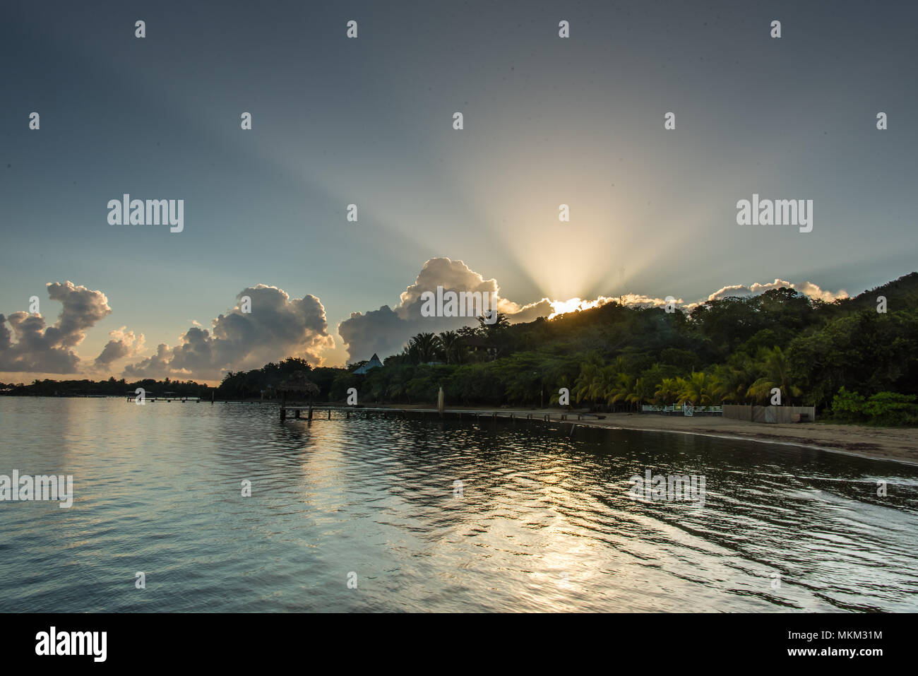 Tropical Morning Sunburst Stock Photo - Alamy