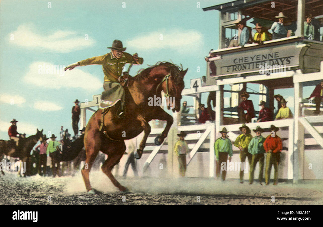 Cowboy and Bronco Stock Photo - Alamy