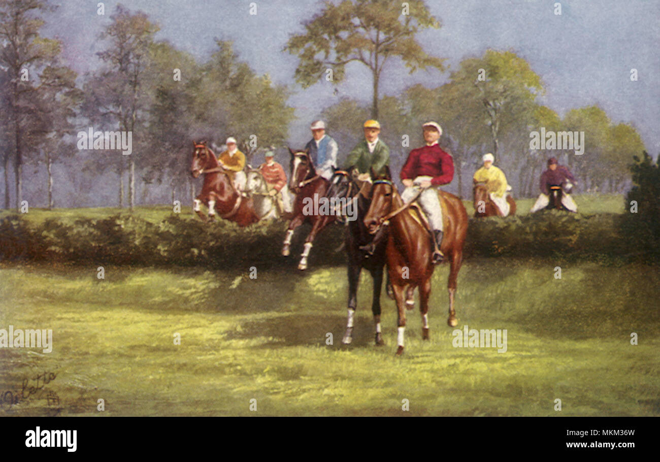 Horse obstacle course hi-res stock photography and images - Alamy