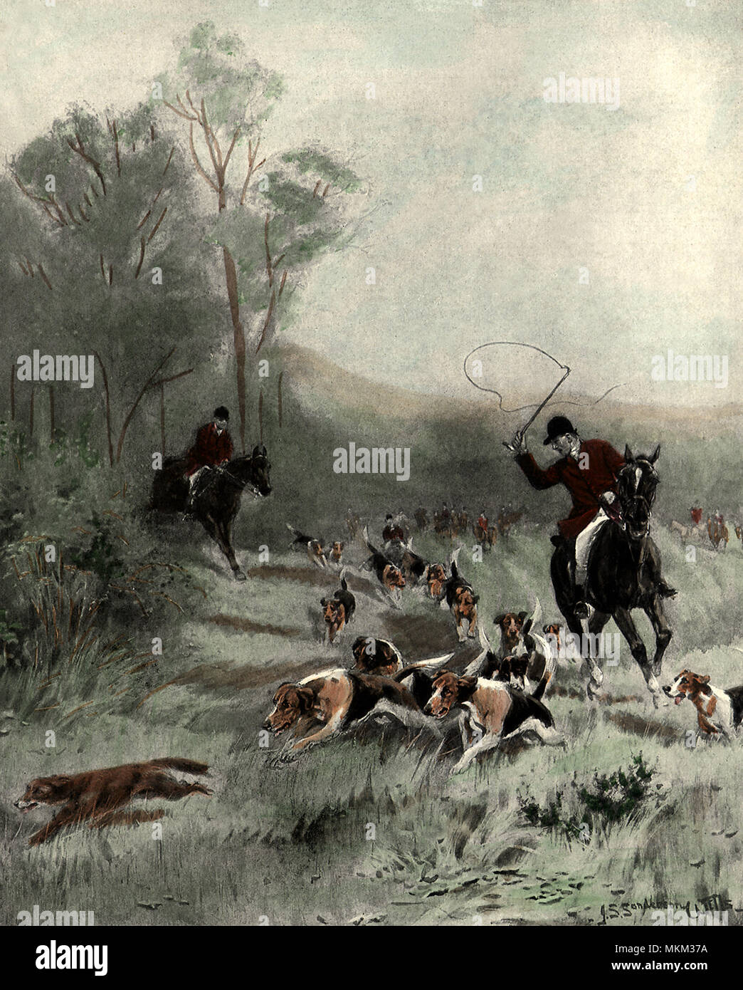 Sport cub hi-res stock photography and images - Alamy