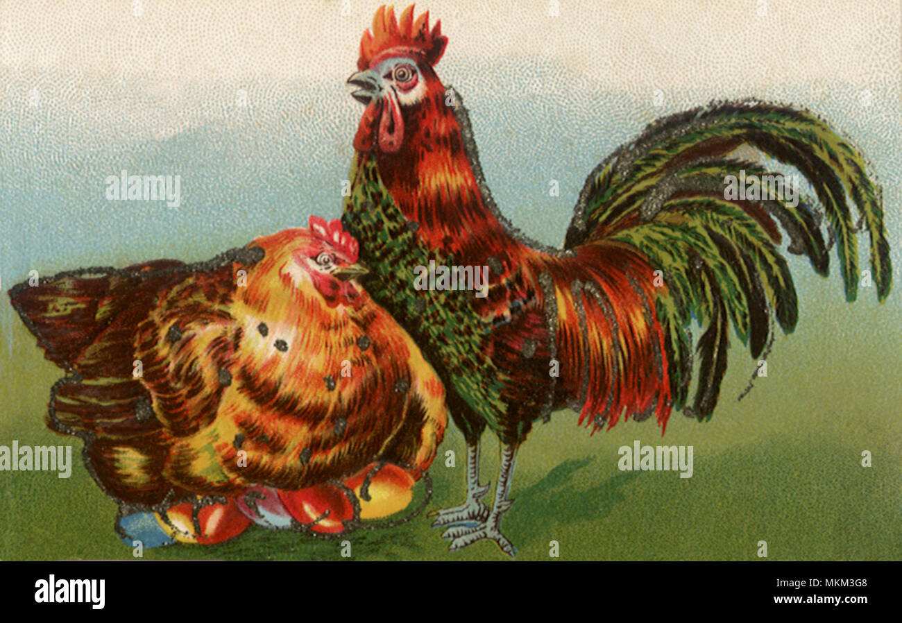 Hatching hi-res stock photography and images - Alamy