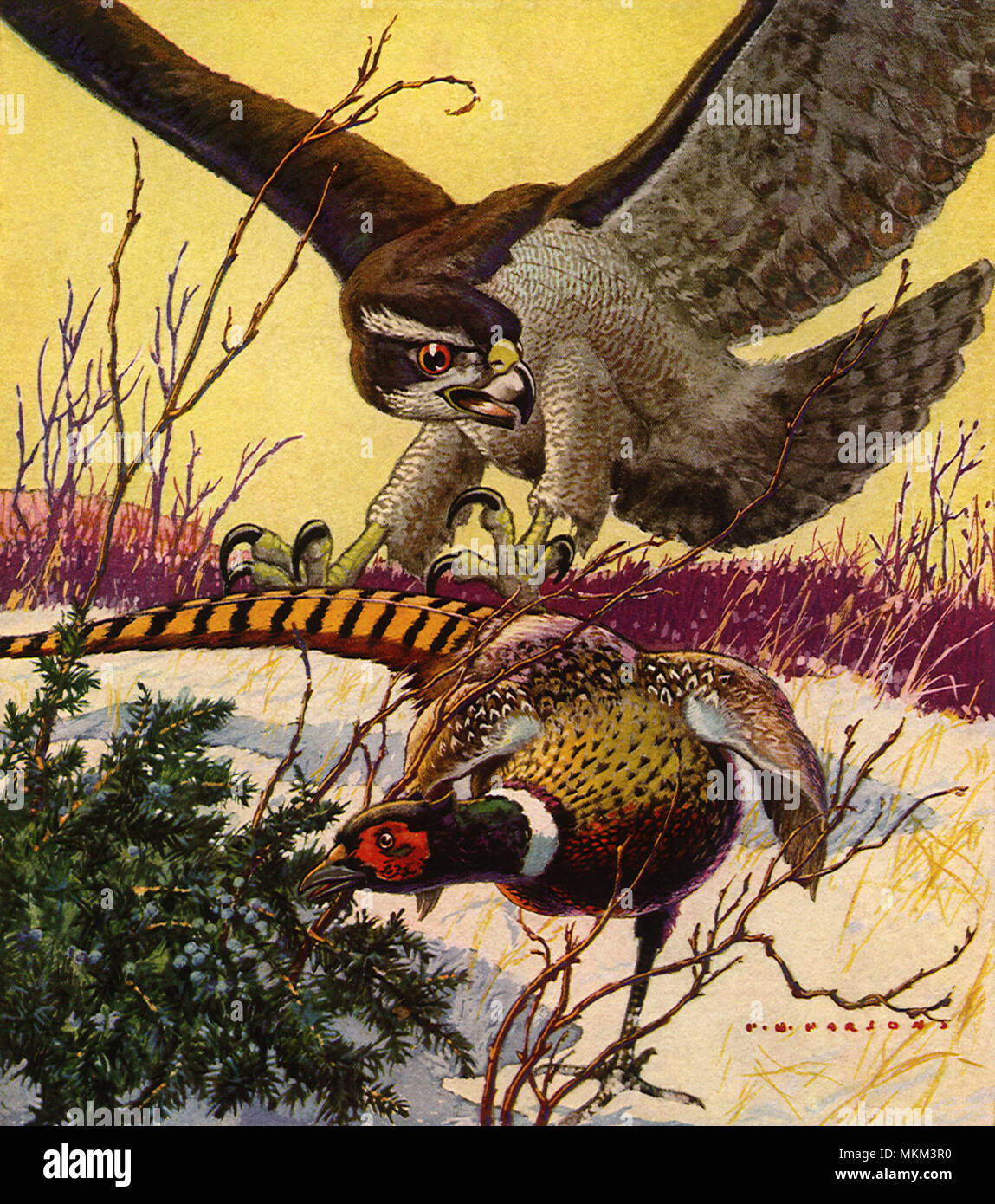 Could kill birds hi-res stock photography and images - Alamy