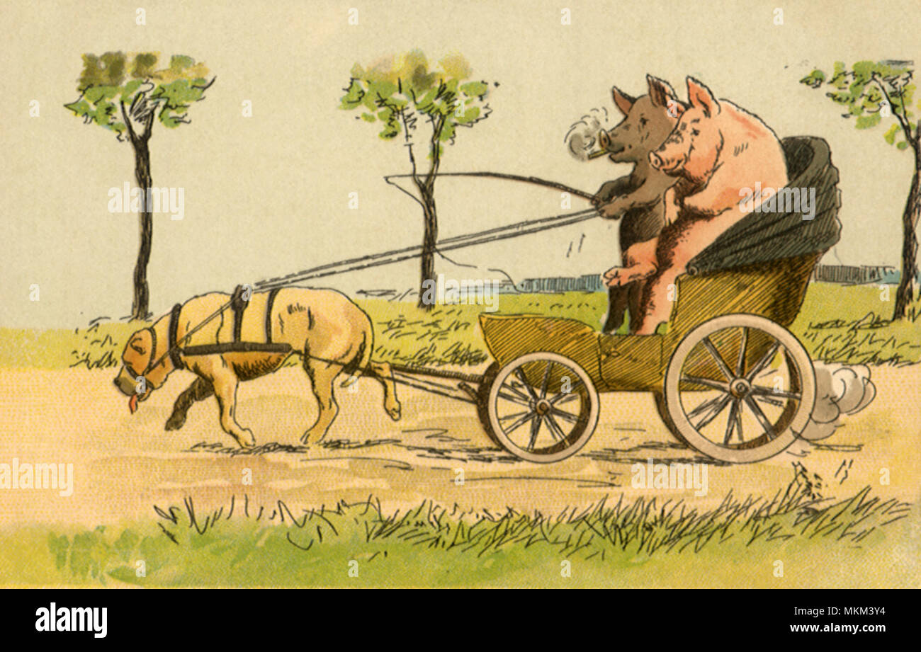 Dog Pulls Pigs Stock Photo - Alamy