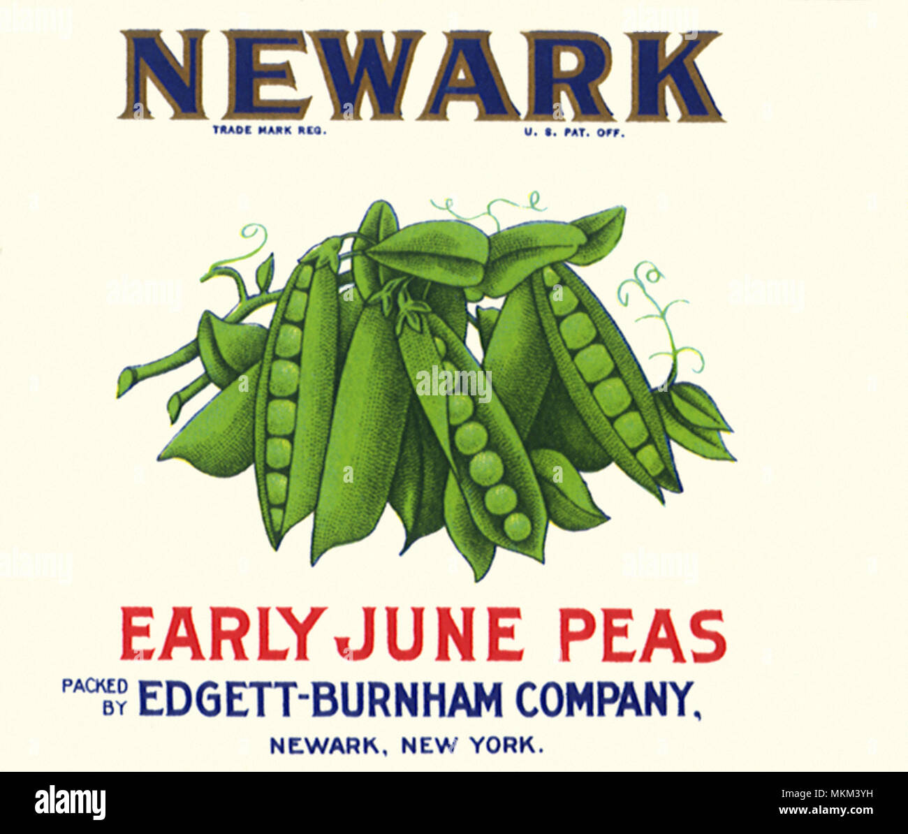 Early June Peas Stock Photo - Alamy