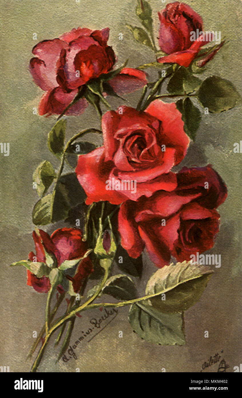 Flowering red roses hi-res stock photography and images - Alamy