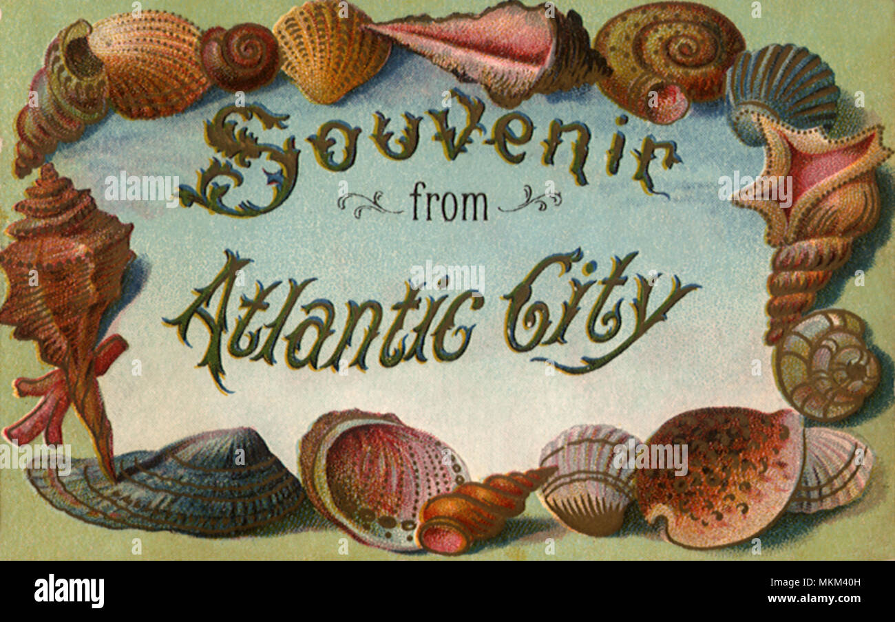 Posters of seashells hi-res stock photography and images - Alamy