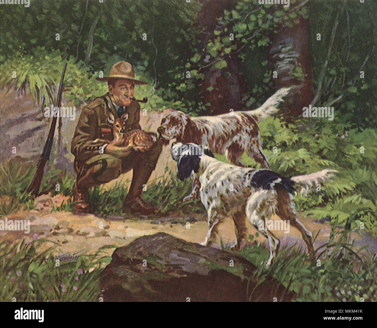 Ranger, Dogs and Fawn Stock Photo - Alamy