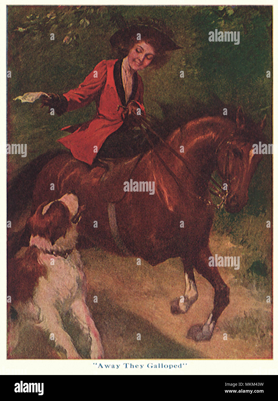 Riding st bernard hi-res stock photography and images - Alamy