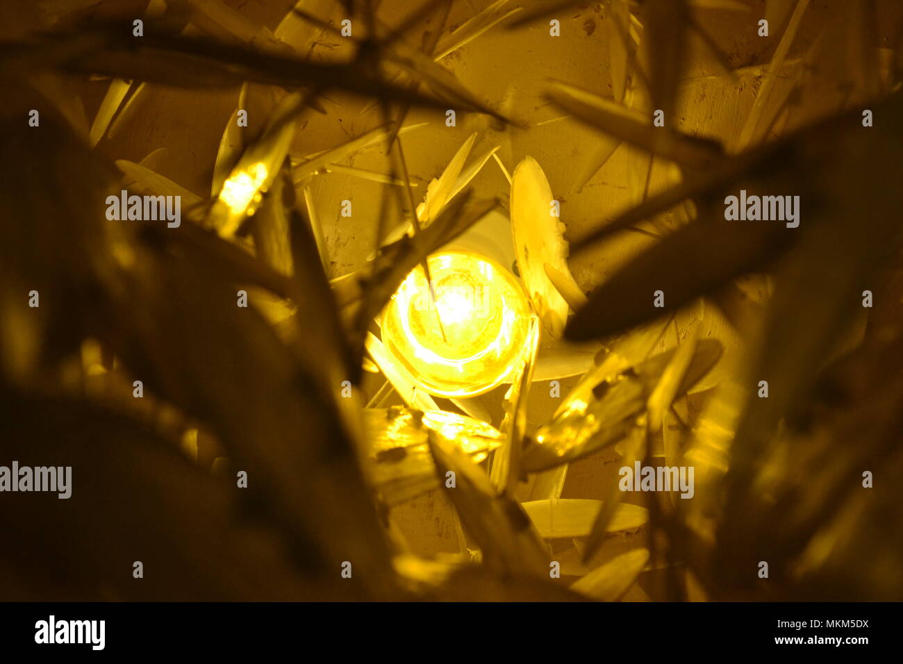 Light inside a chandelier Stock Photo - Alamy