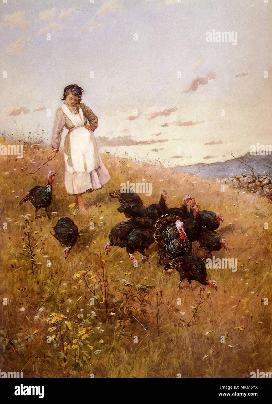 Gently sloping ground hi-res stock photography and images - Alamy