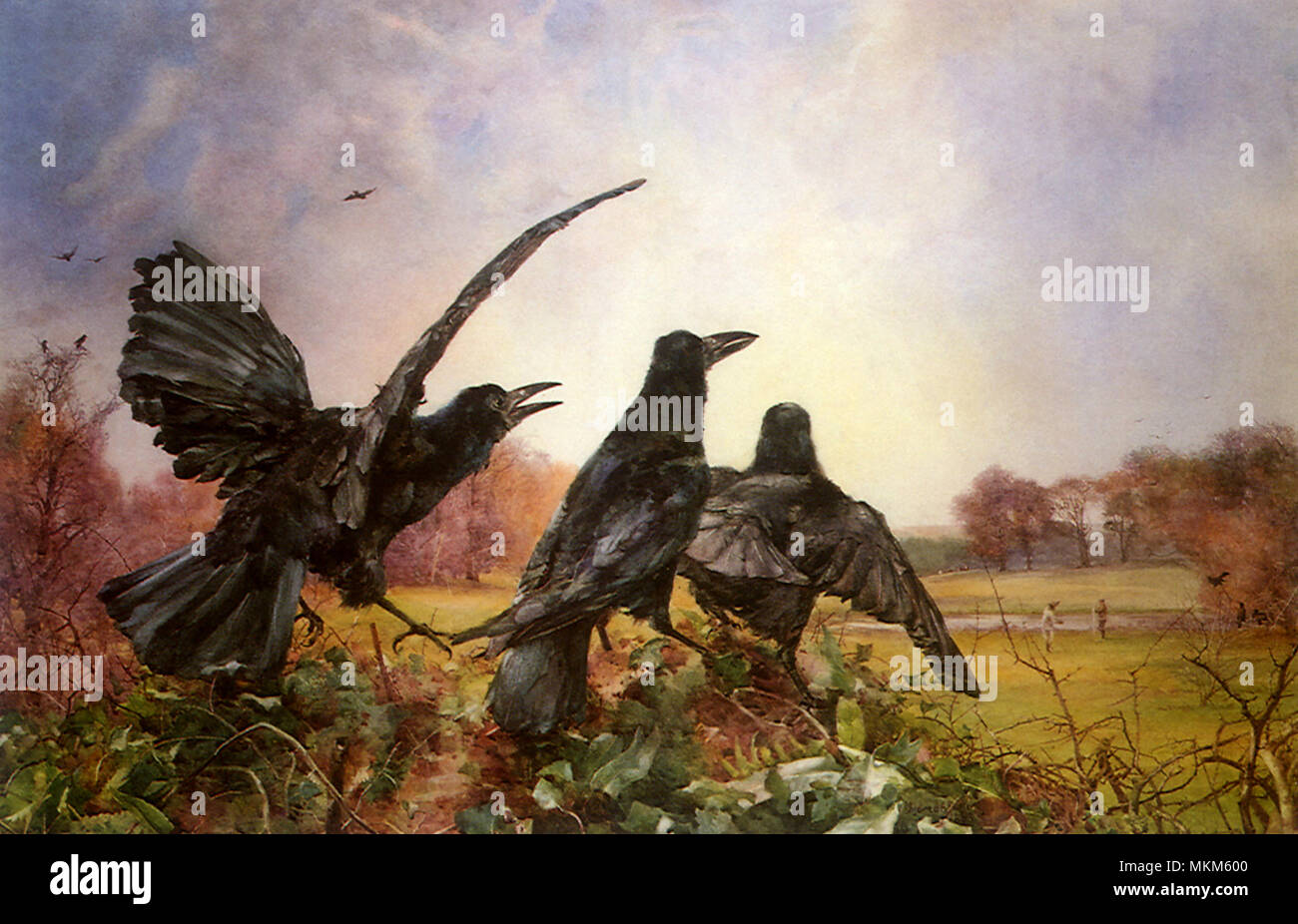 With three crows hi-res stock photography and images - Alamy