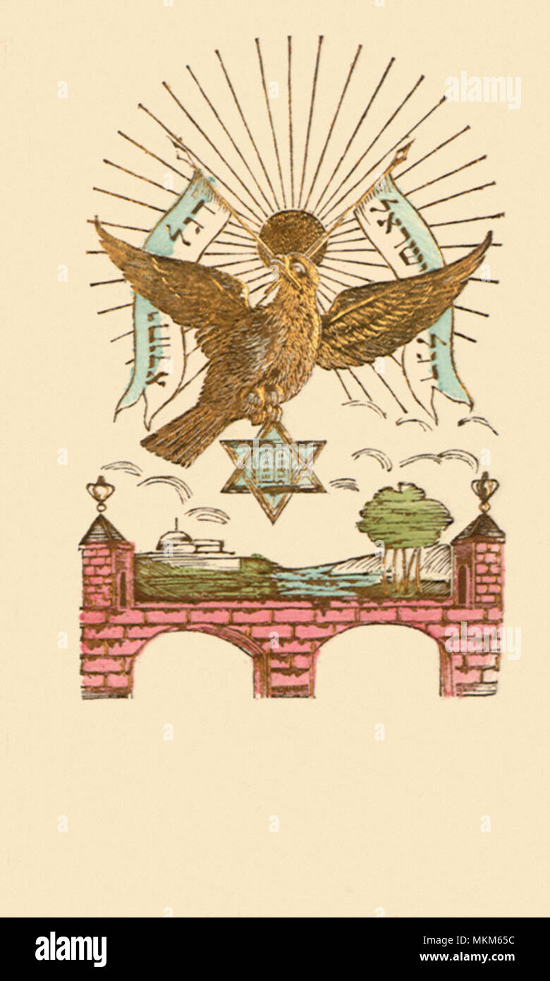 Dove in Jerusalem Stock Photo - Alamy