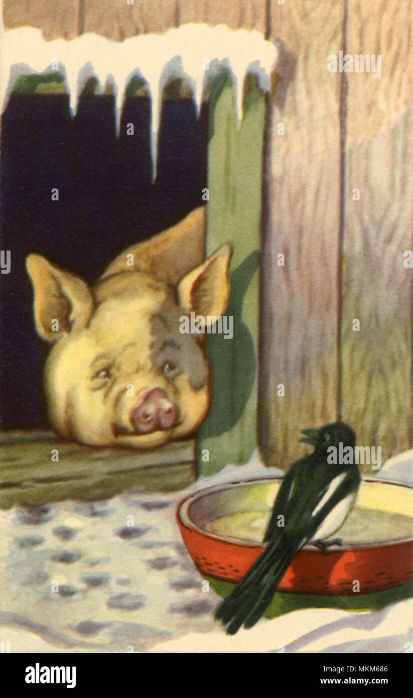 Pig farm in the snow hi-res stock photography and images - Alamy