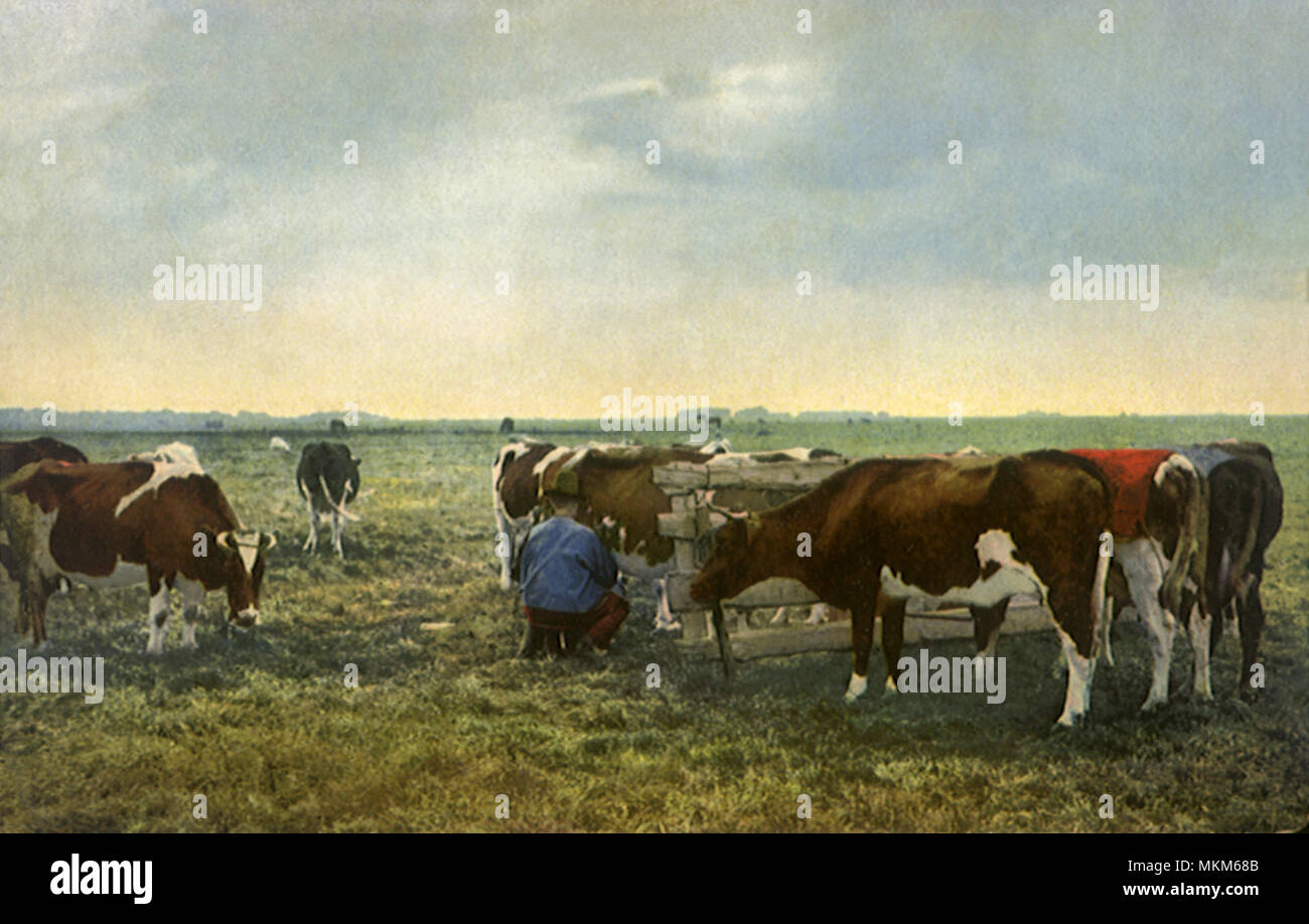 Farm agriculture farmer milks hi-res stock photography and images - Alamy