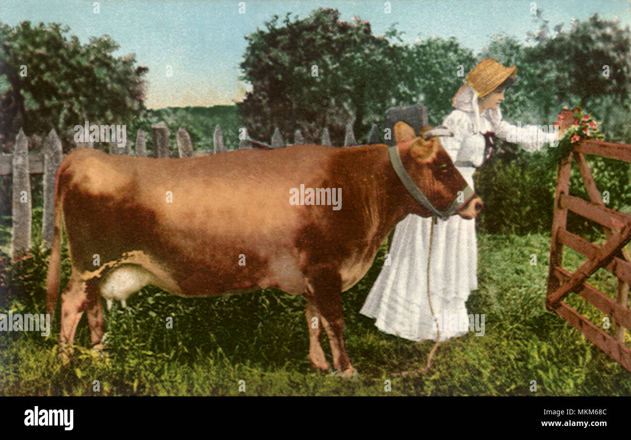 Vintage girl and cow hi-res stock photography and images - Alamy