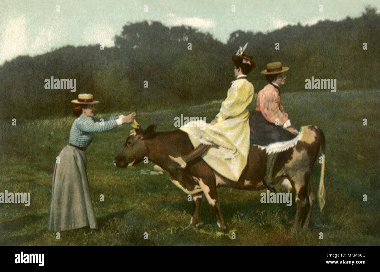 Women with cow hi-res stock photography and images - Alamy