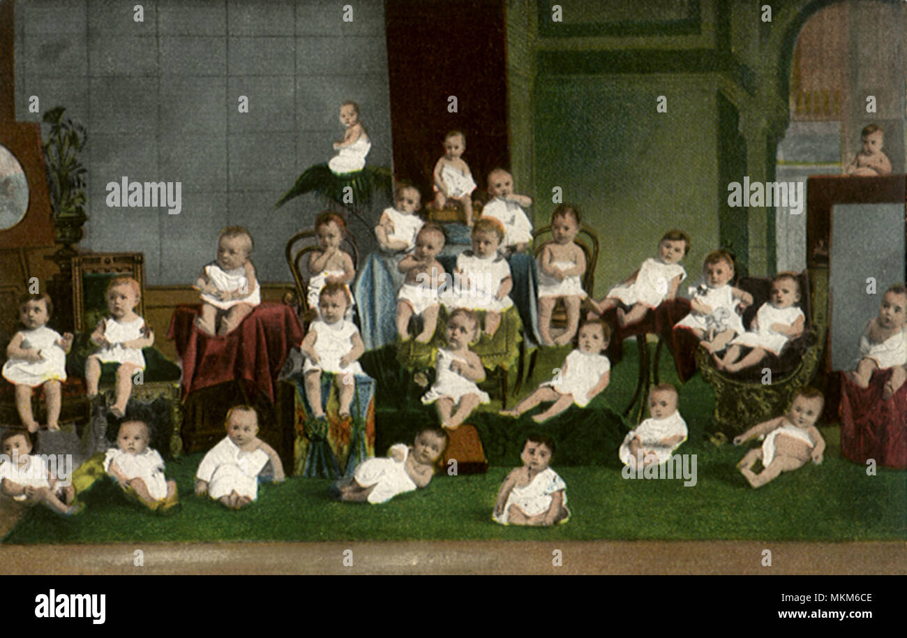 Bevy of Babies Stock Photo - Alamy