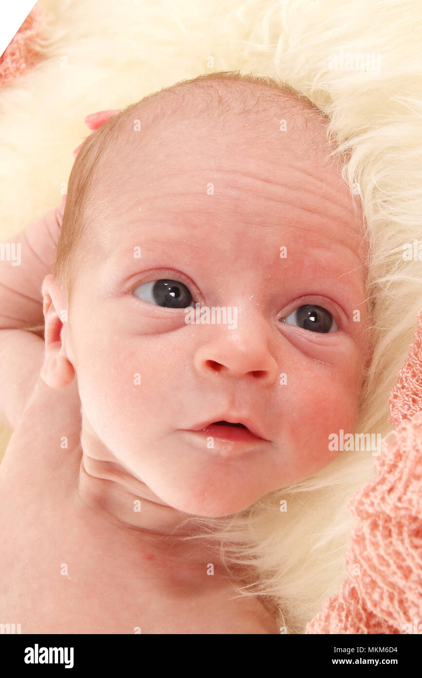 13 day old baby girl Stock Photo - Alamy
