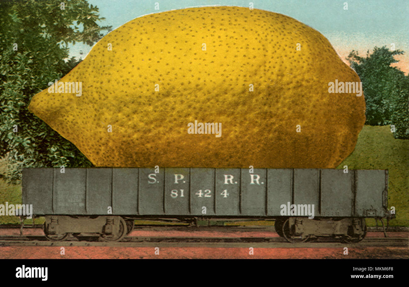 Big citron lemon hi-res stock photography and images - Alamy