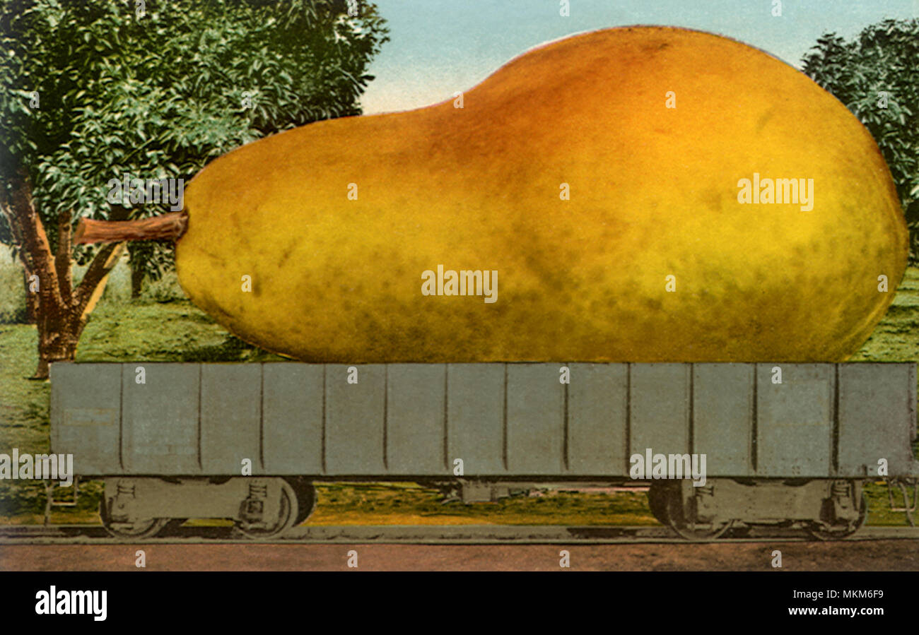 Enormous fruits hi-res stock photography and images - Alamy