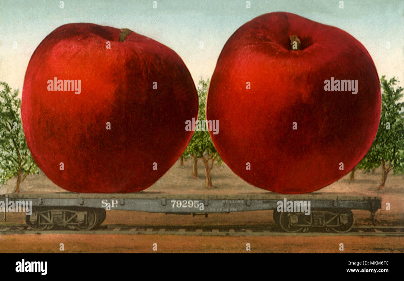 Rail carload hi-res stock photography and images - Alamy