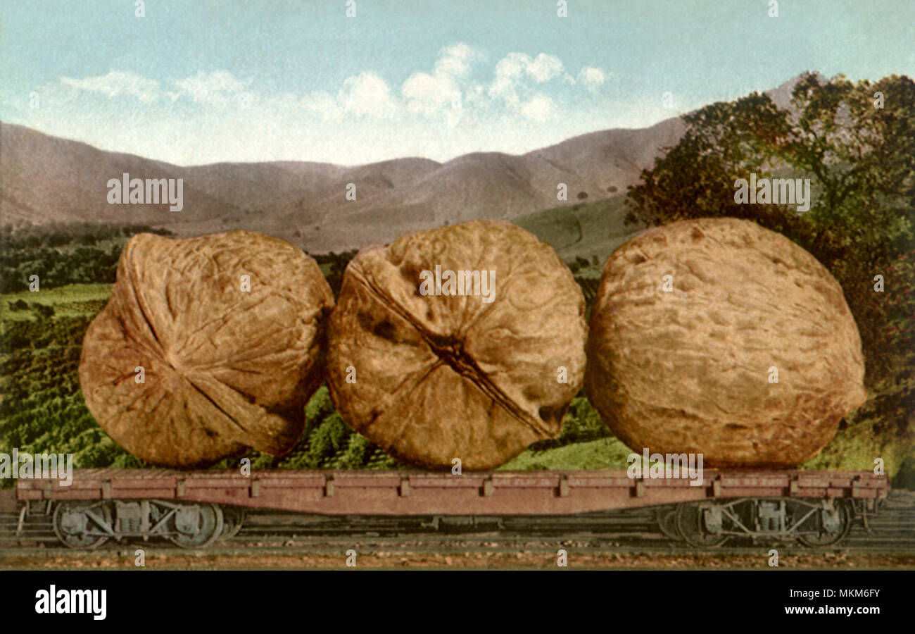 Walnuts in Railroad Car Stock Photo - Alamy