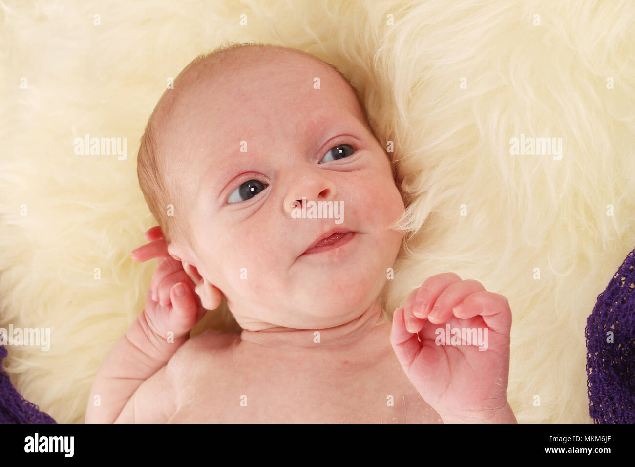13 day old hi-res stock photography and images - Alamy