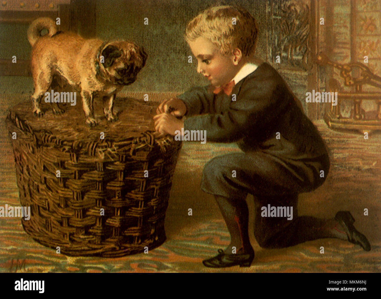 Dog Watches Boy Stock Photo - Alamy