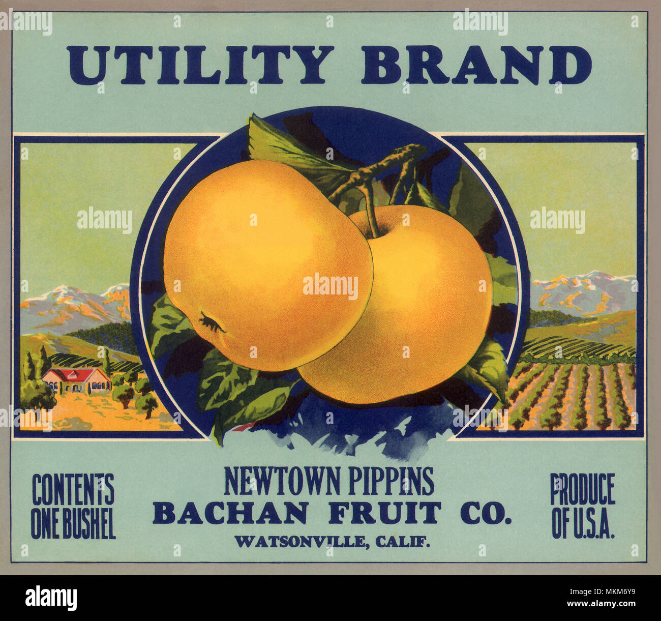 Pippin Apple Label Stock Photo - Alamy