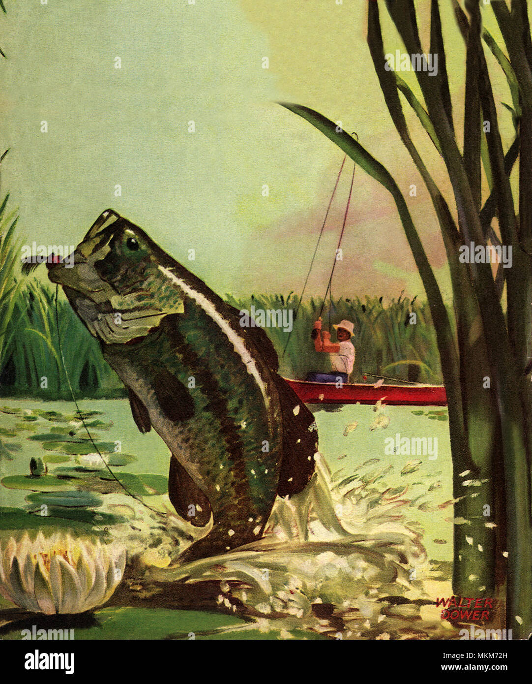 Leaping Fish is Snagged Stock Photo - Alamy