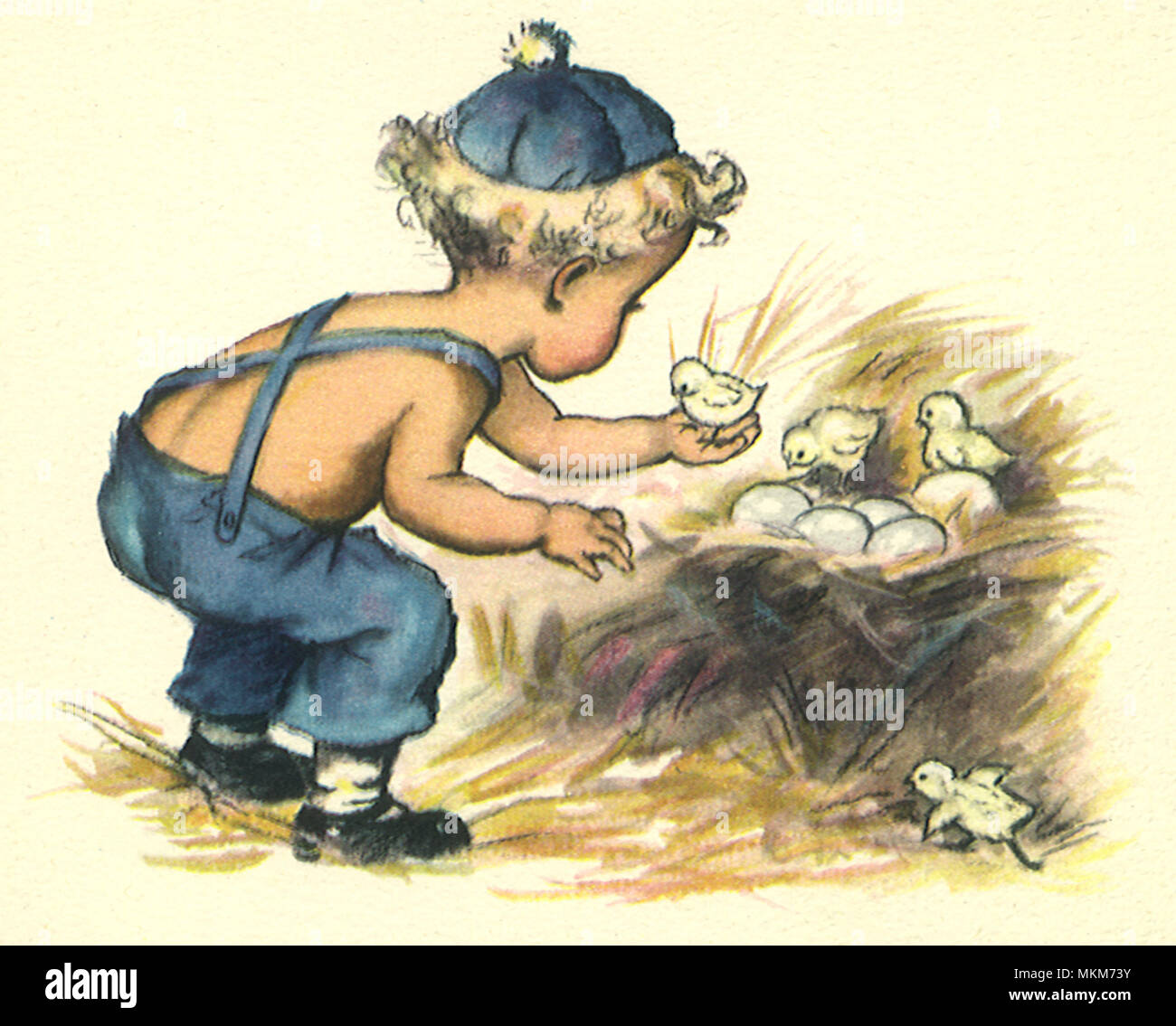 Boy with chicks hi-res stock photography and images - Alamy