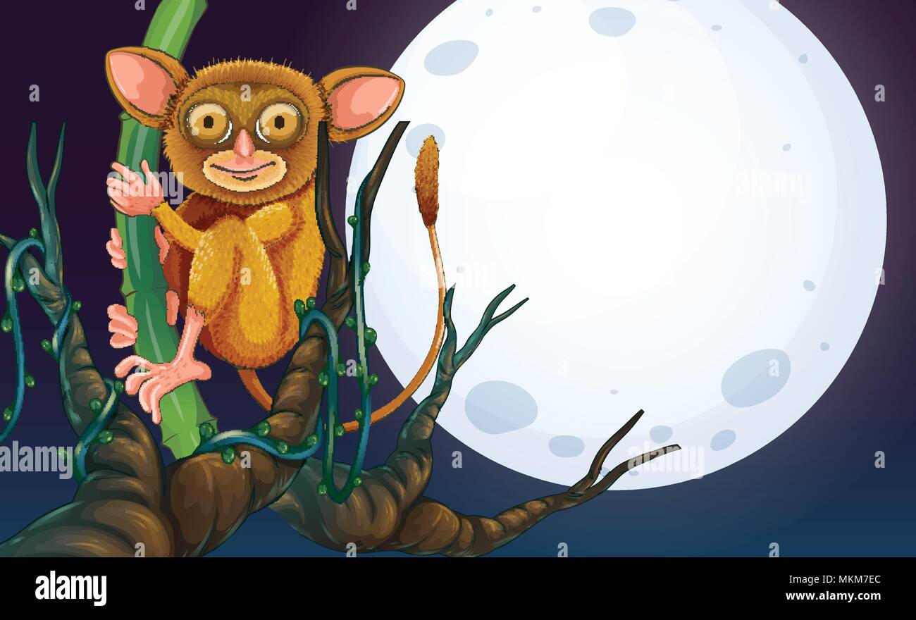 Cartoon tarsier hi-res stock photography and images - Alamy