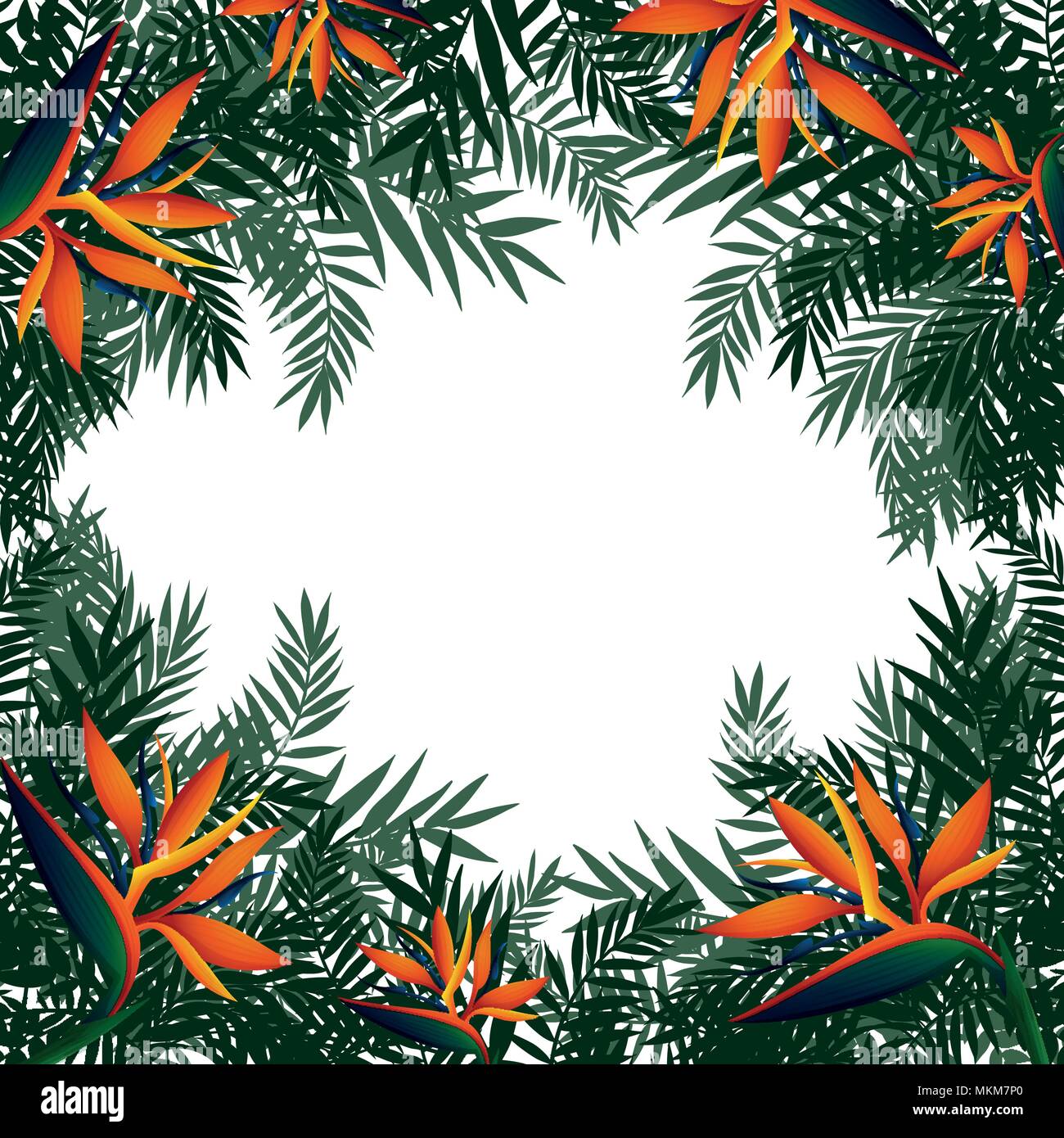 Nature Frame with Flowers and Leaf illustration Stock Vector Image ...