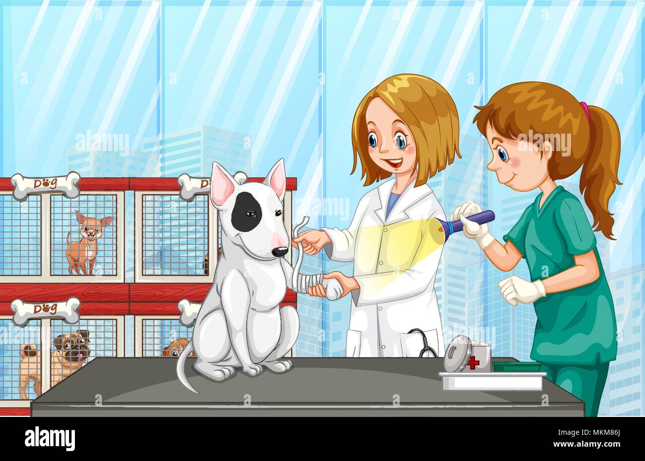 Vet Helping a Dog at Clinic illustration Stock Vector Image & Art - Alamy
