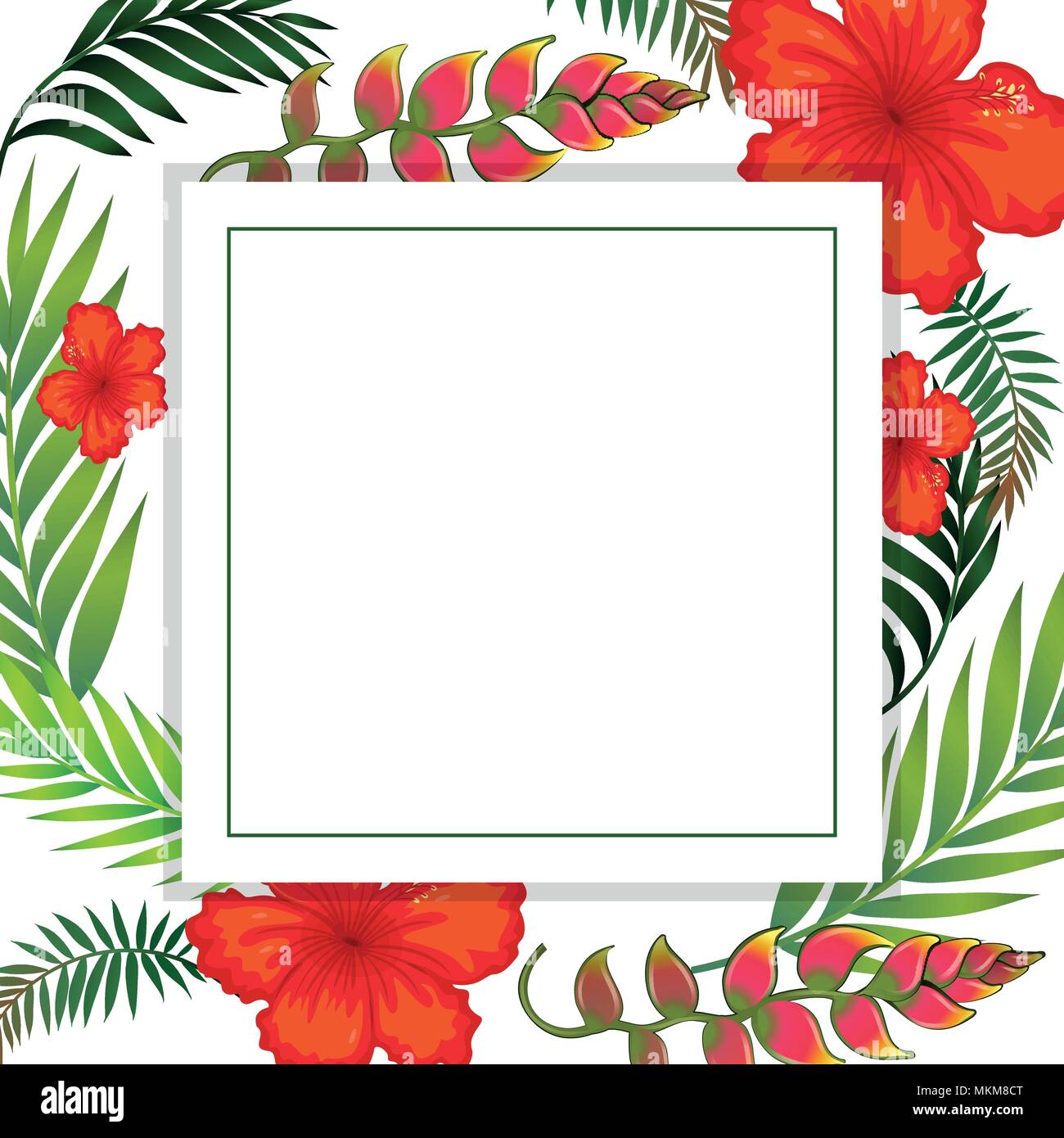 Beautiful Tropical Summer Flower Frame illustration Stock Vector Image ...