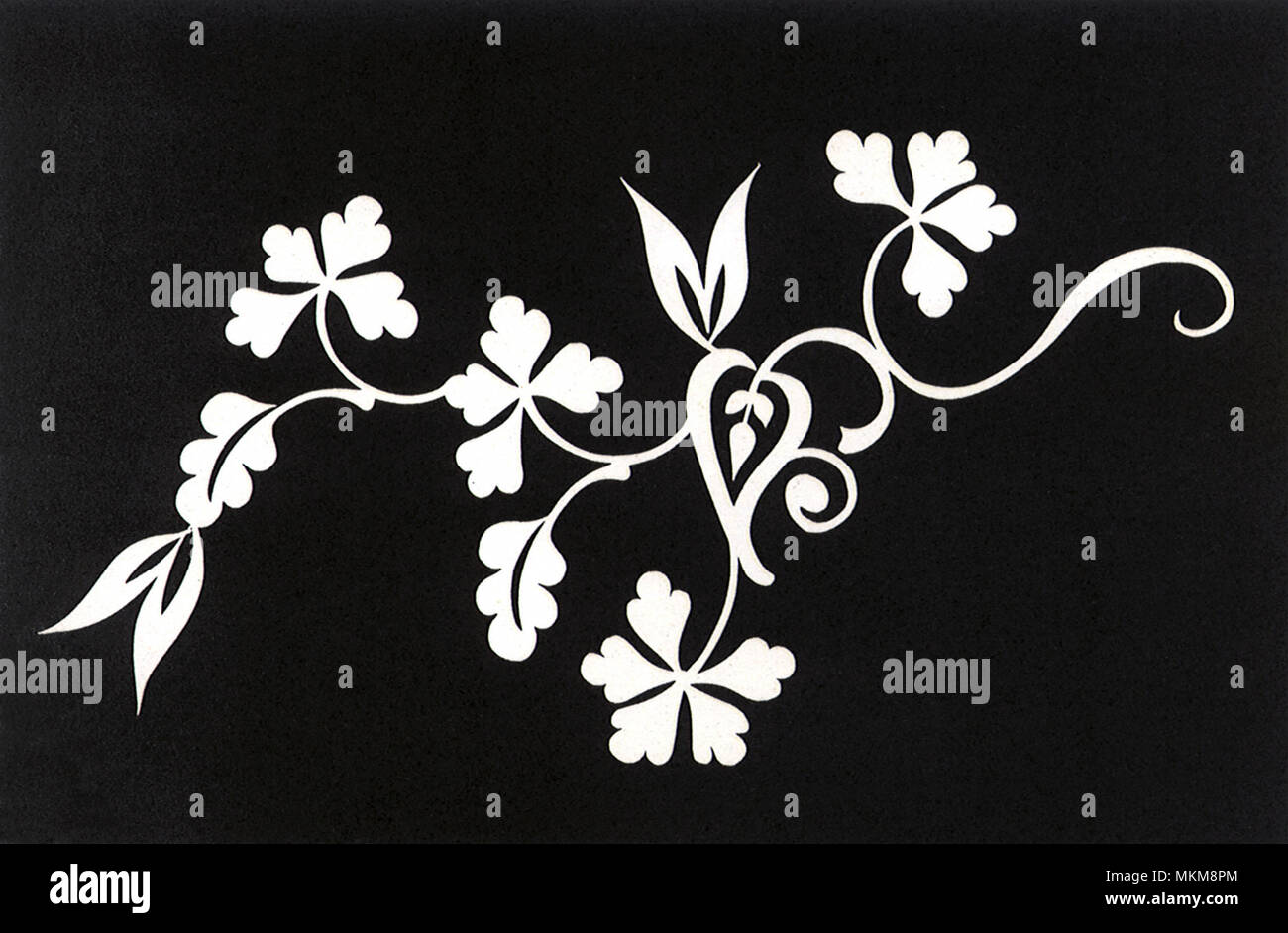 White vine design hi-res stock photography and images - Alamy