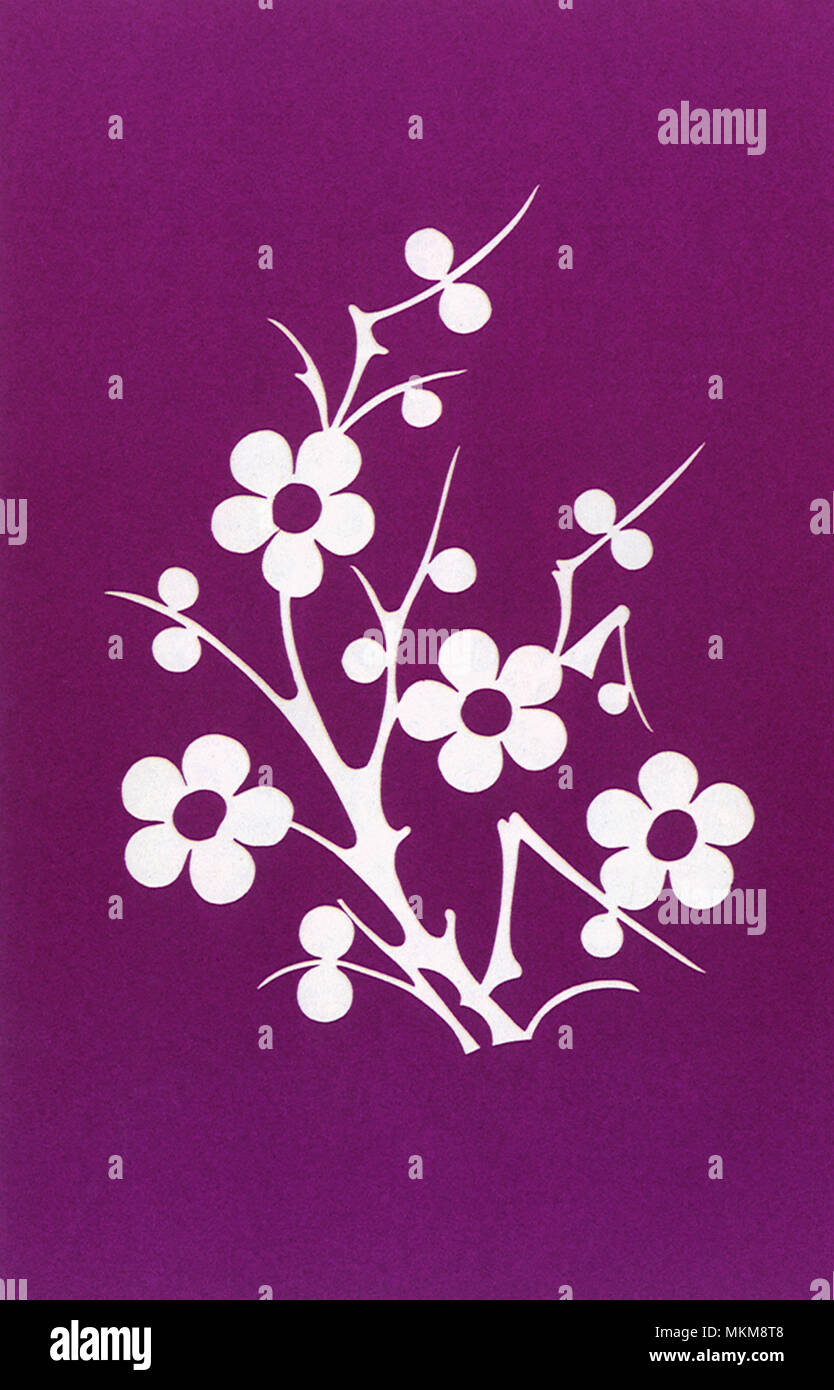 Stylized tree designs hi-res stock photography and images - Alamy