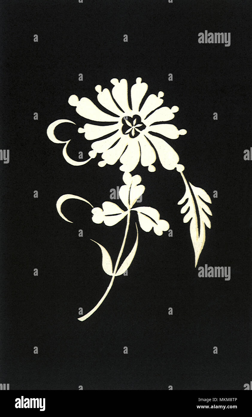 Two large stem hi-res stock photography and images - Alamy