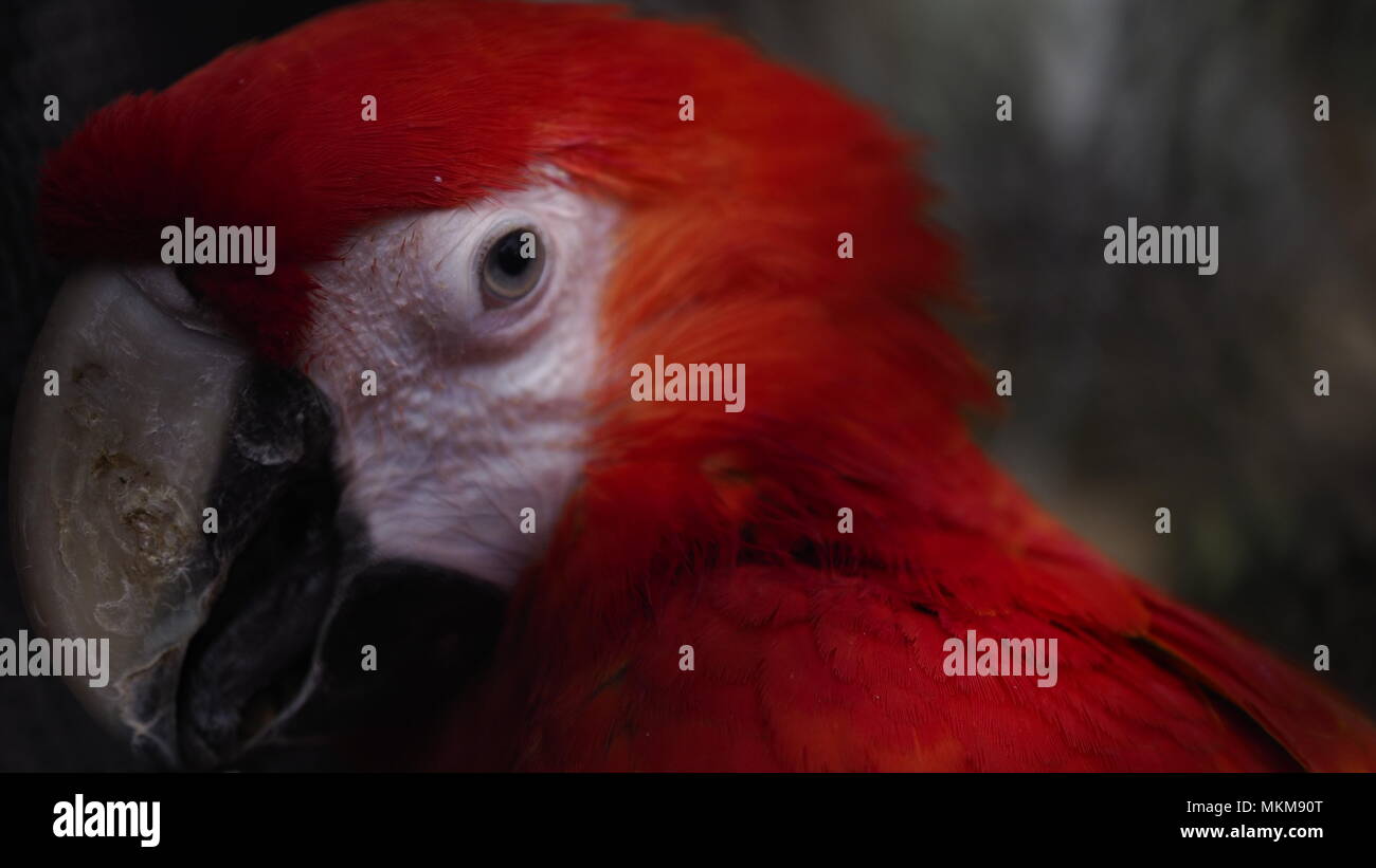 Momentoftheday hi-res stock photography and images - Alamy