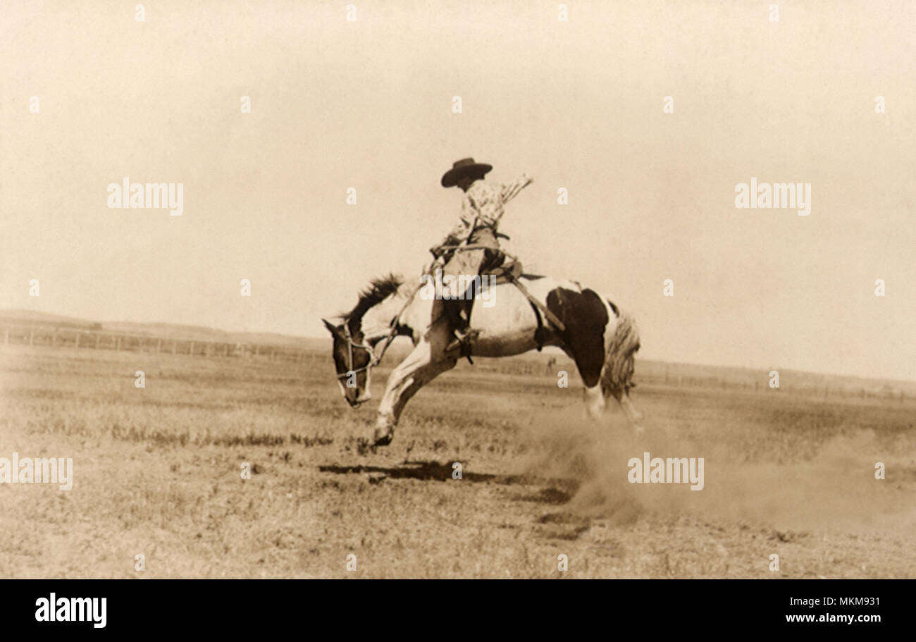 Riding Bucking Bronco Stock Photo - Alamy