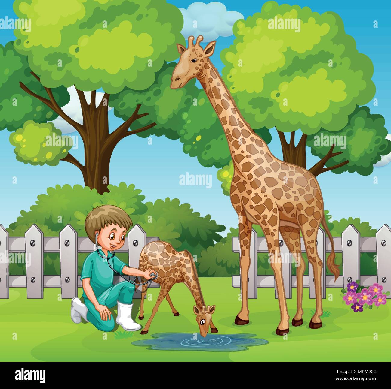 A Vet Checkup Giraffe at Zoo illustration Stock Vector Image & Art - Alamy