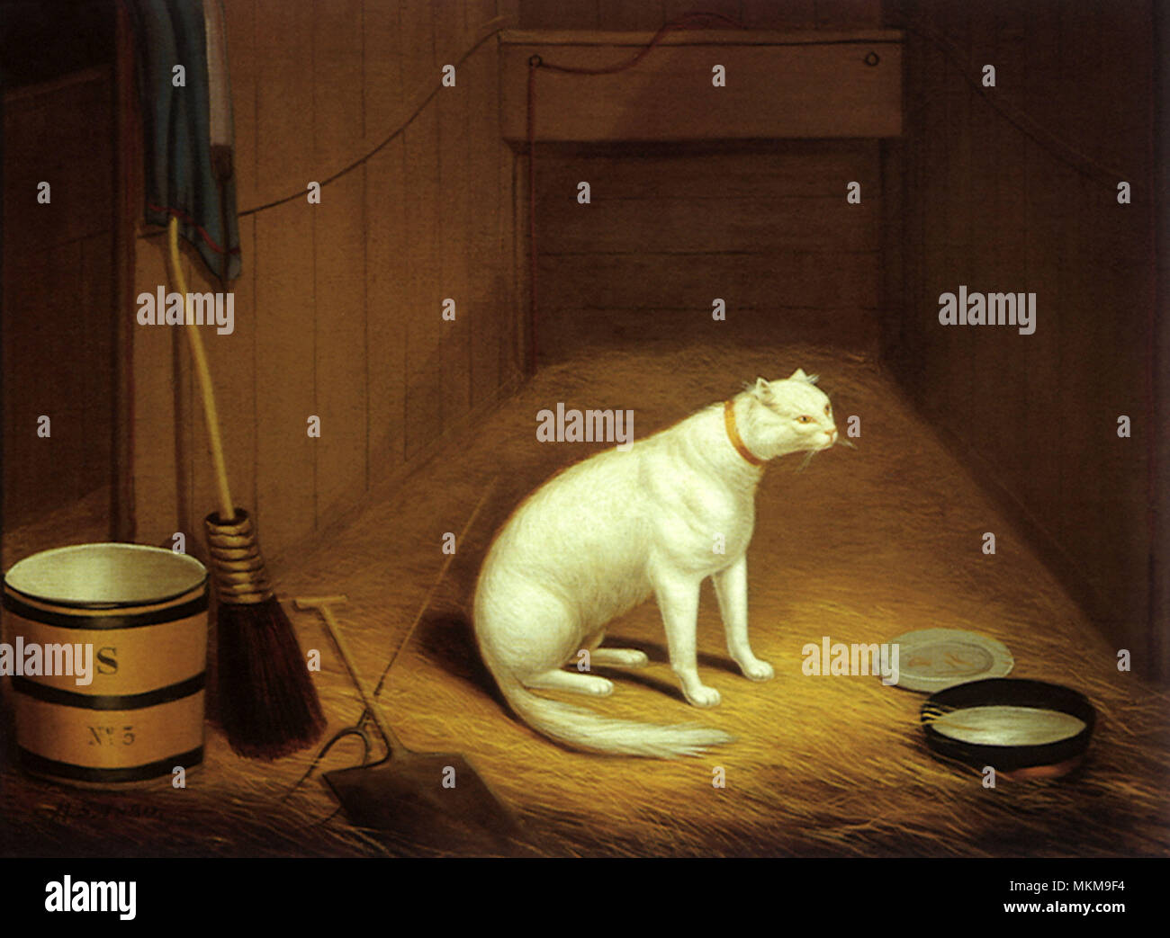A Farmyard Cat in a Stable Stock Photo - Alamy